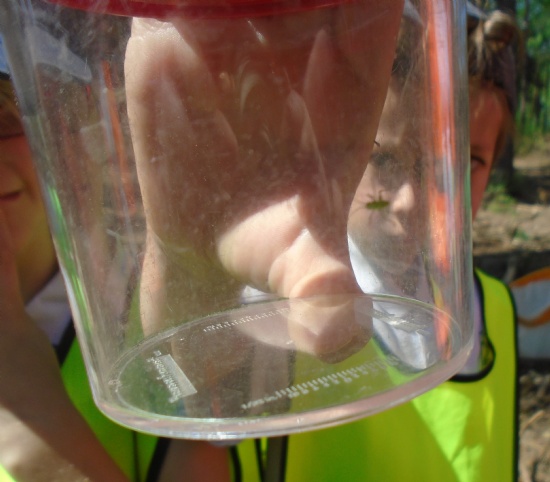 Cranmere Primary and Nursery School - Year 1 explore and investigate at ...